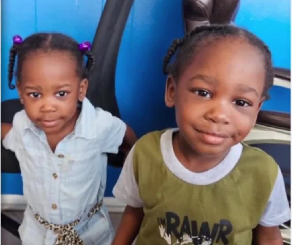 Tragic Confession: Mother Arrested After Admitting Plan to Kill Twin ...